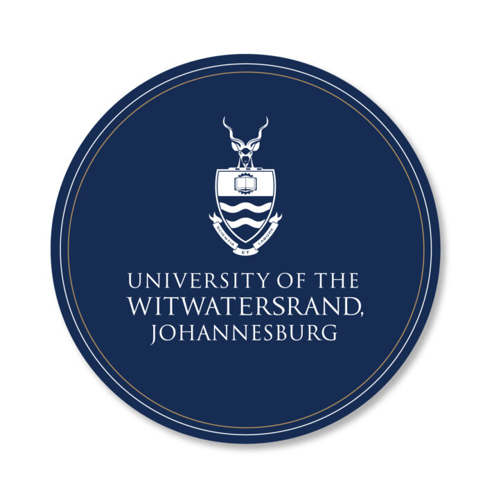 Wits Waters Licence Disk Sticker Blue 90mm - Wits Shop